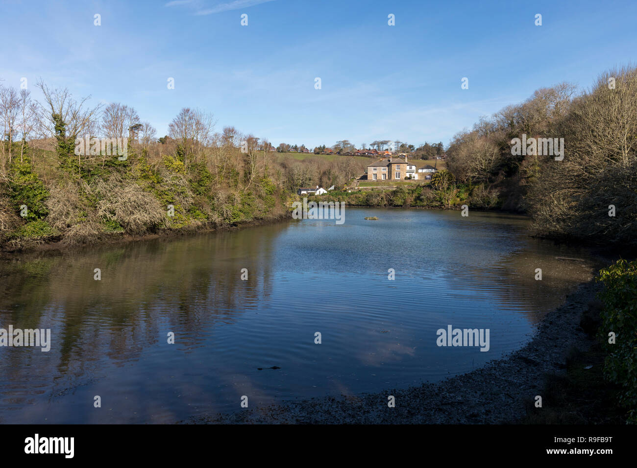 Froe hi-res stock photography and images - Alamy