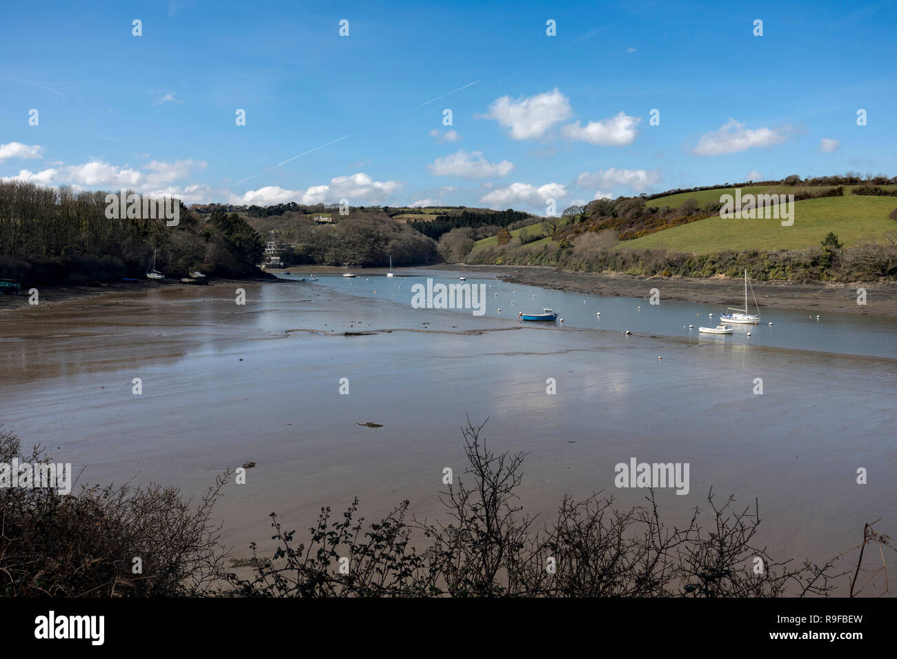 Percuil River; Roseland; Cornwall; UK Stock Photo - Alamy