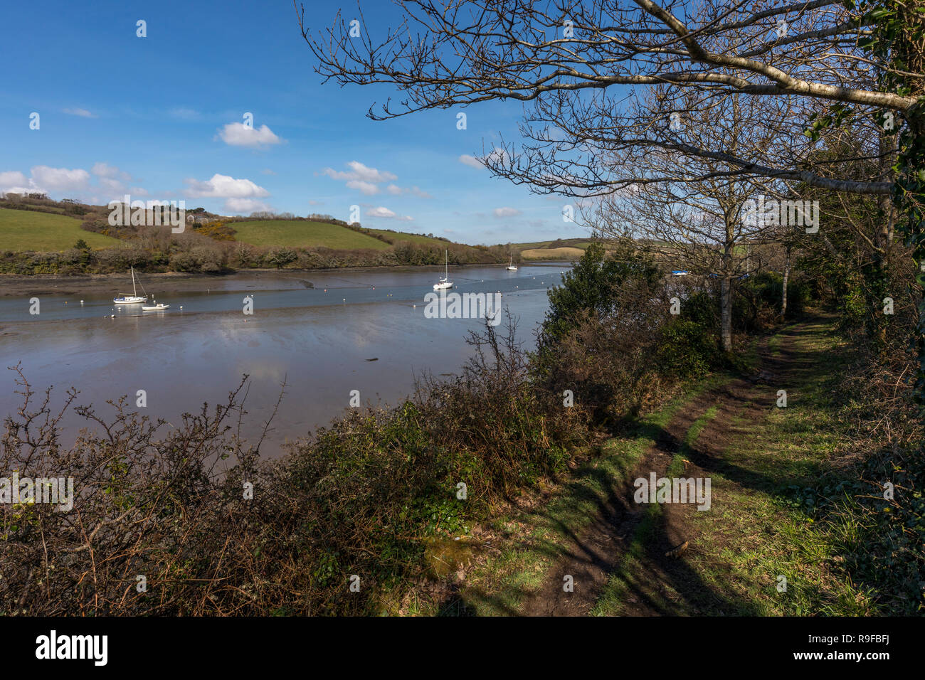 Percuil River; Roseland; Cornwall; UK Stock Photo - Alamy