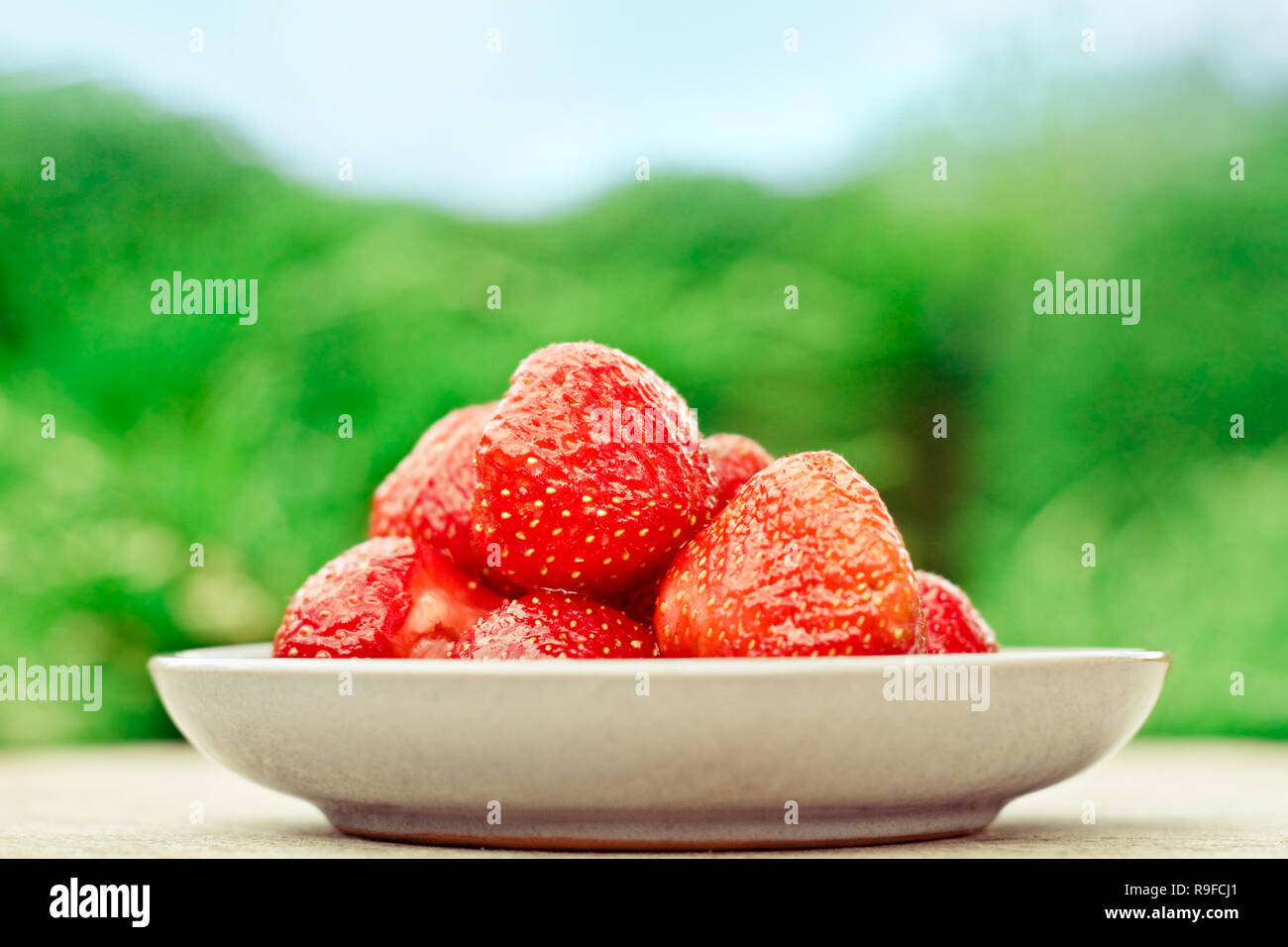 strawberries from the garden - fresh fruits and healthy eating styled ...