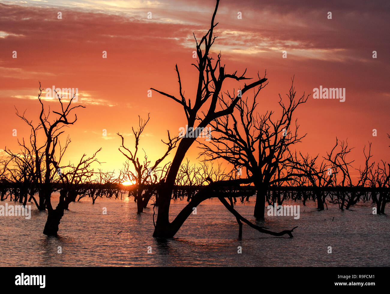 Sunset Menindee Lakes NSW Stock Photo - Alamy
