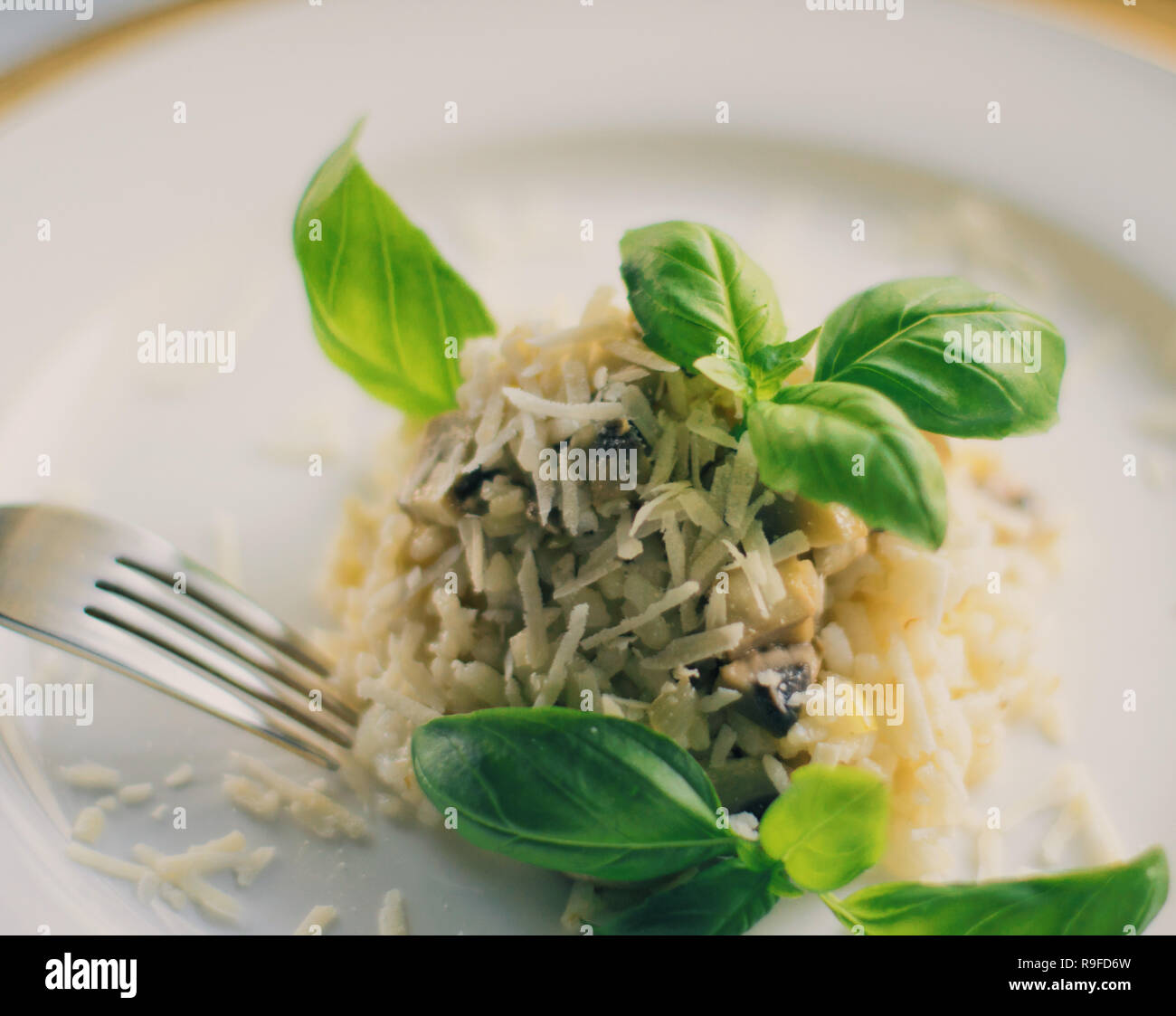 european and mediterranean cuisine styled concept - mushroom risotto ...