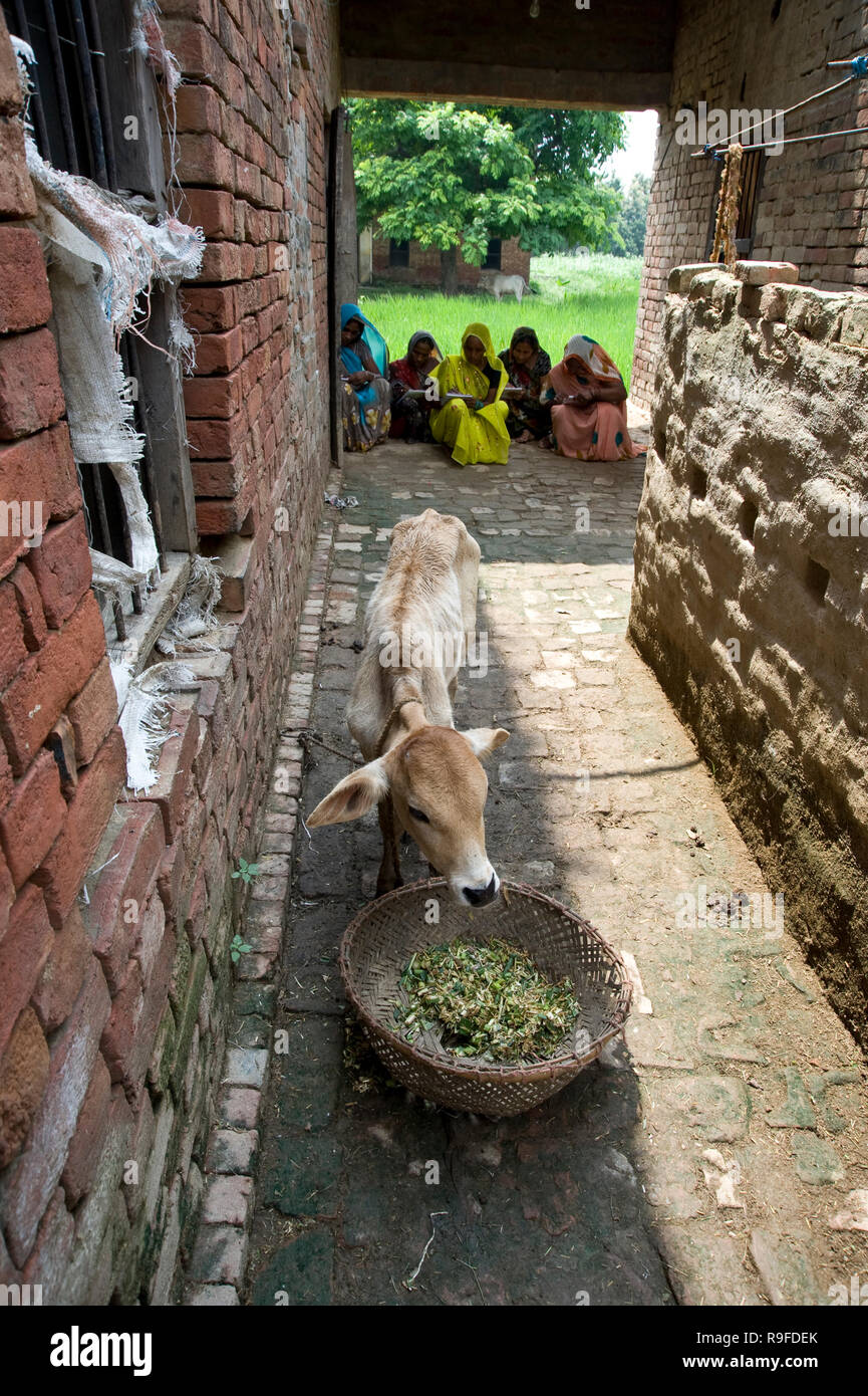 Adult literacy india hi-res stock photography and images - Alamy