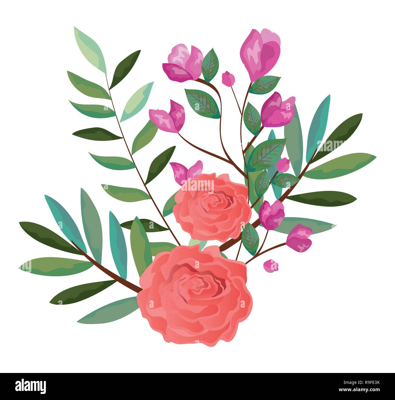 Rosebush illustration Cut Out Stock Images & Pictures - Alamy