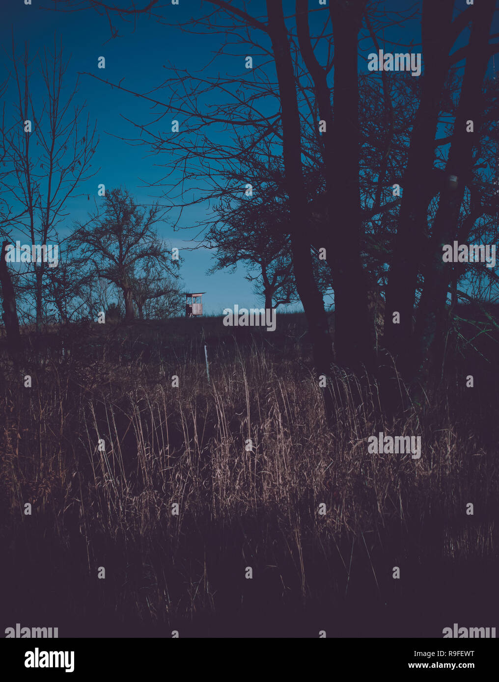 Hunter view hi-res stock photography and images - Alamy