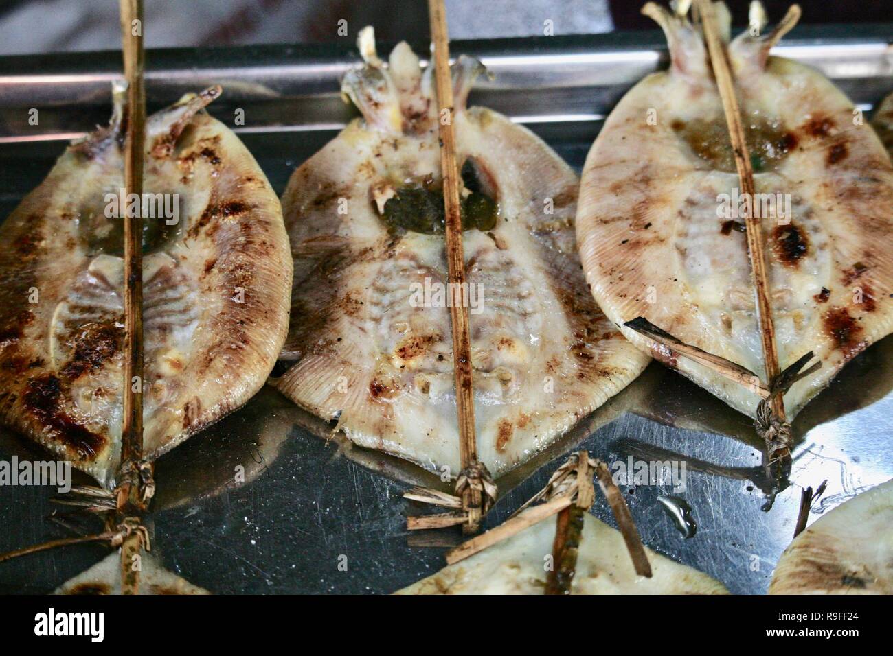 Small stingrays hi-res stock photography and images - Alamy