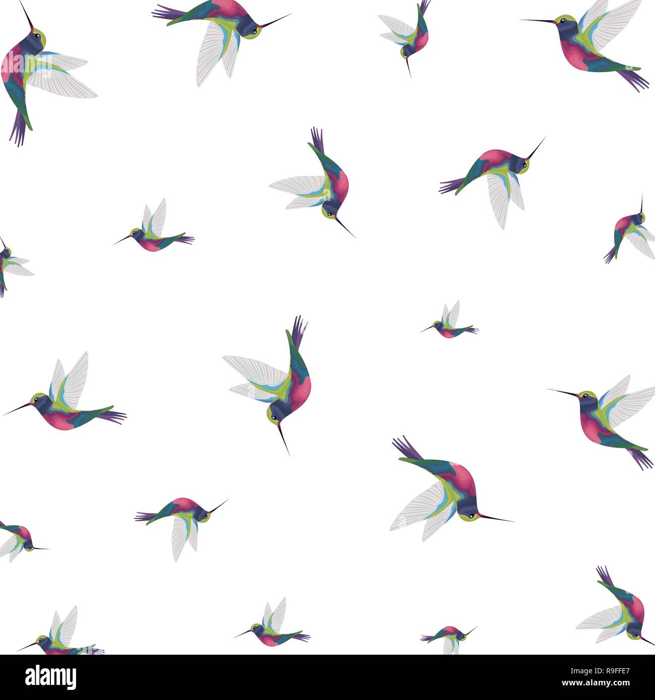 beautiful hummingbirds pattern background Stock Vector Image & Art - Alamy