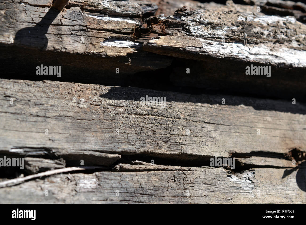weathered timber closeup texture Stock Photo - Alamy
