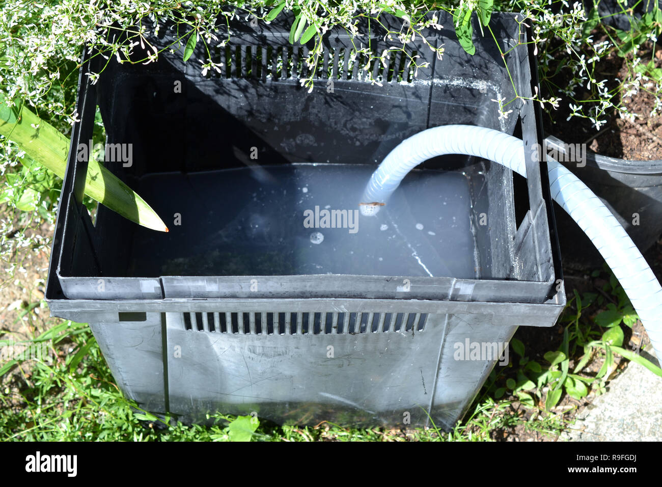 Save water plants hi-res stock photography and images - Alamy