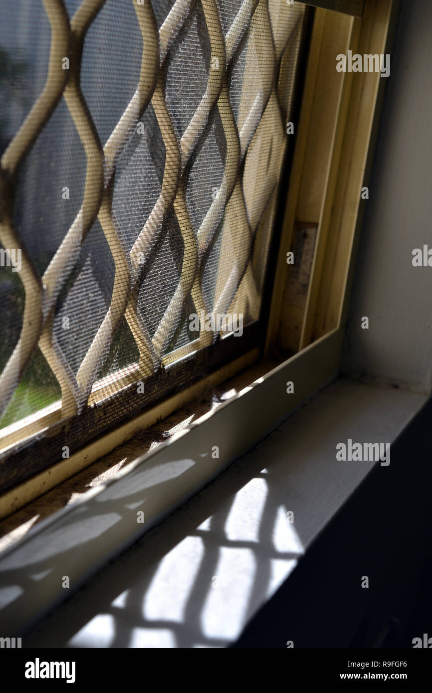 Dust, Dirt and Dead Bugs in Window Track, Windowsill and Fly Screen ...