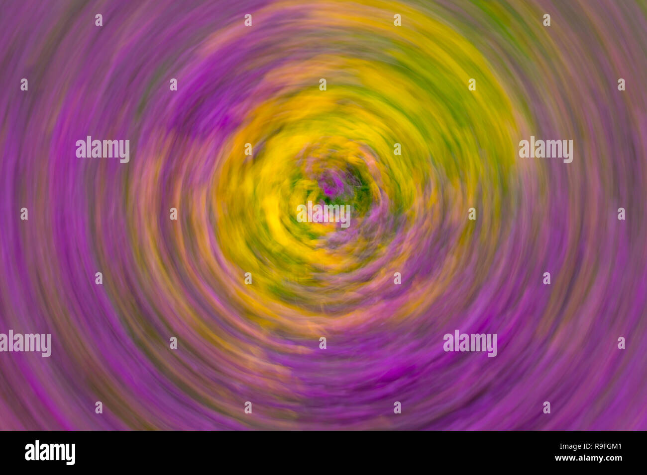 Special Effect High Resolution Stock Photography and Images - Alamy