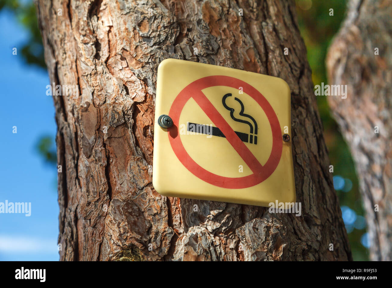 Against tree smoking cigarette hi-res stock photography and images - Alamy