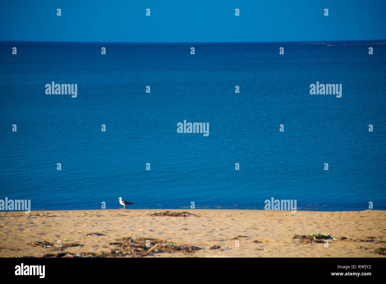 Seascape of Amaharashi beach in Toyama, Japan. Japan is a country ...