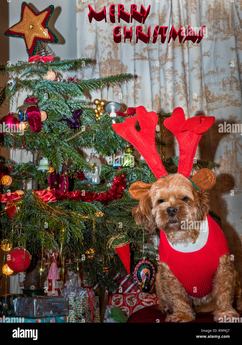 Olympus em5 hi-res stock photography and images - Alamy