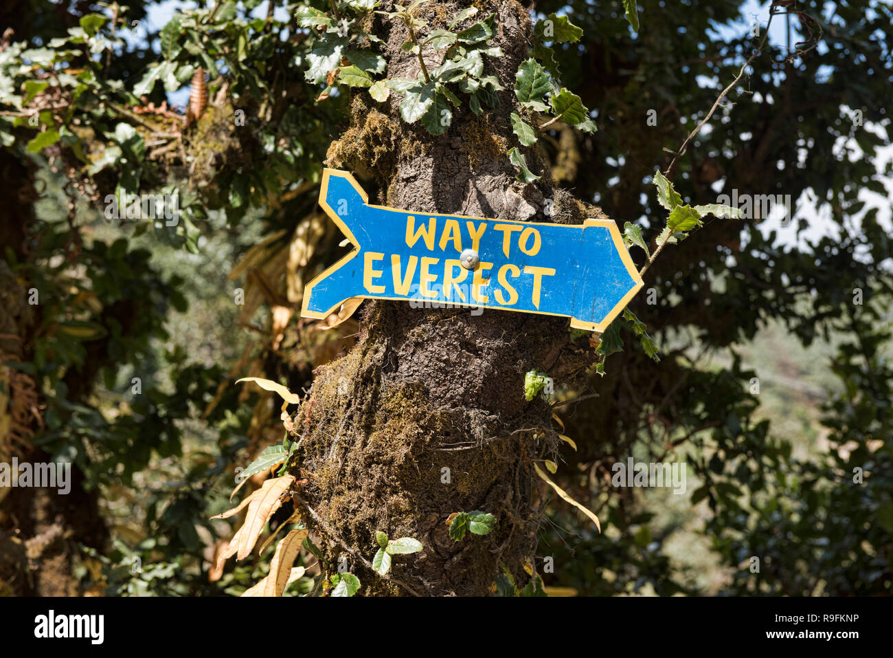 Everest base camp sign hi-res stock photography and images - Alamy