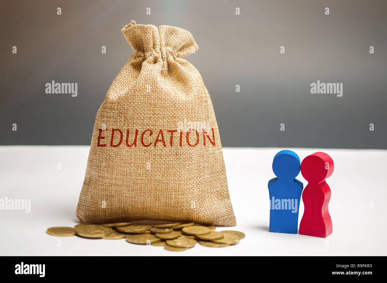 Bag of money and the word Education and family.The concept of education ...