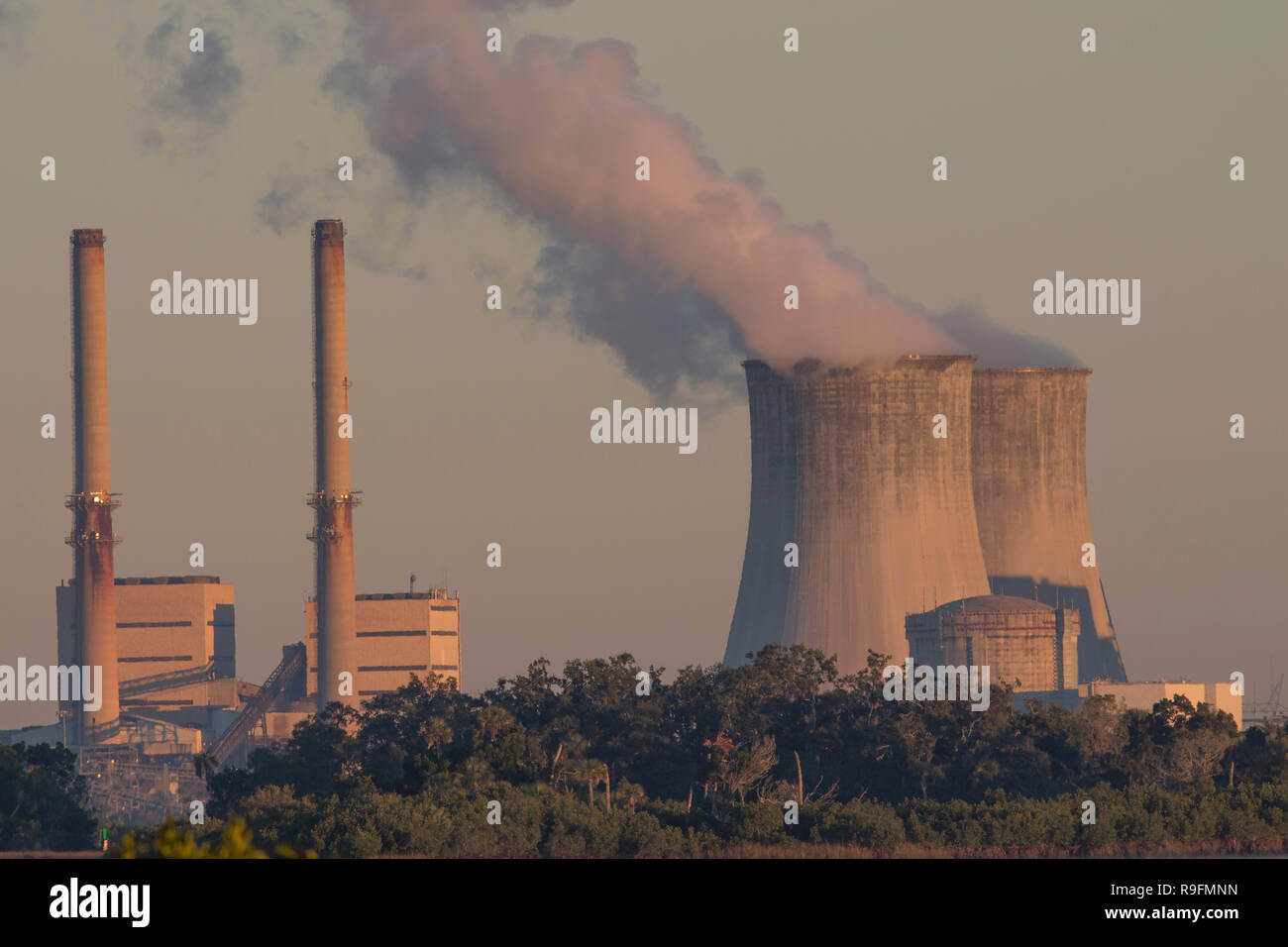 A view across the salt marsh wetlands of the Duke Energy Crystal River ...
