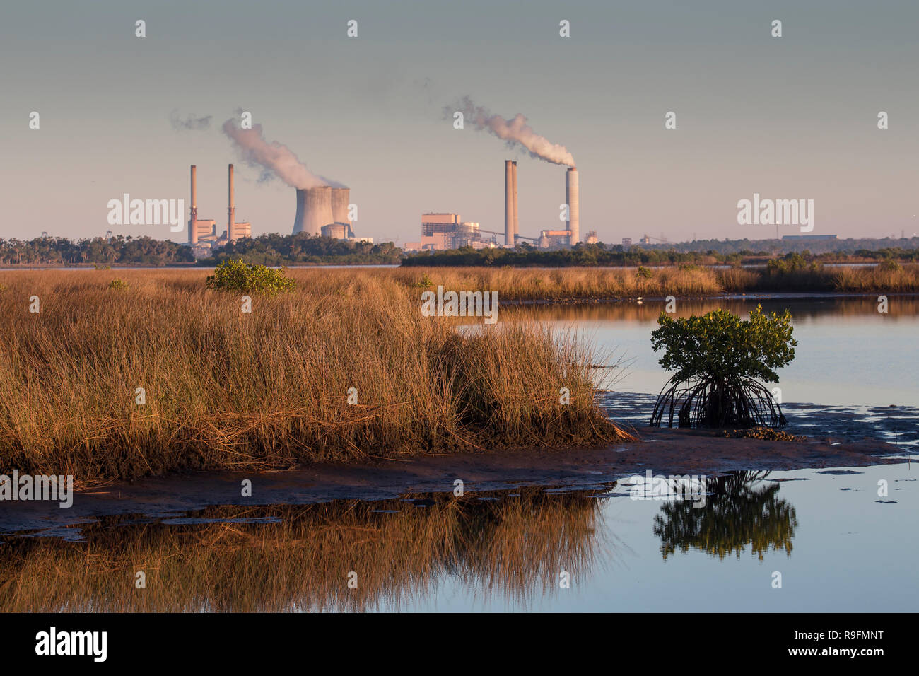 A view across the salt marsh wetlands of the Duke Energy Crystal River ...