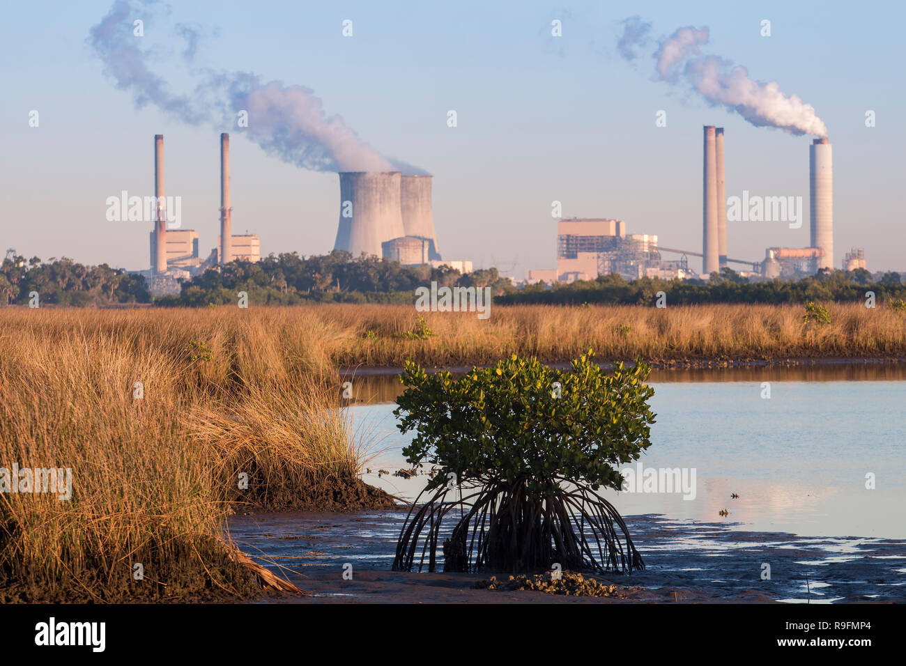 A view across the salt marsh wetlands of the Duke Energy Crystal River ...