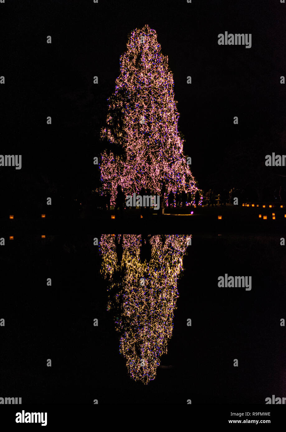 Brookgreen gardens south carolina hi-res stock photography and images ...