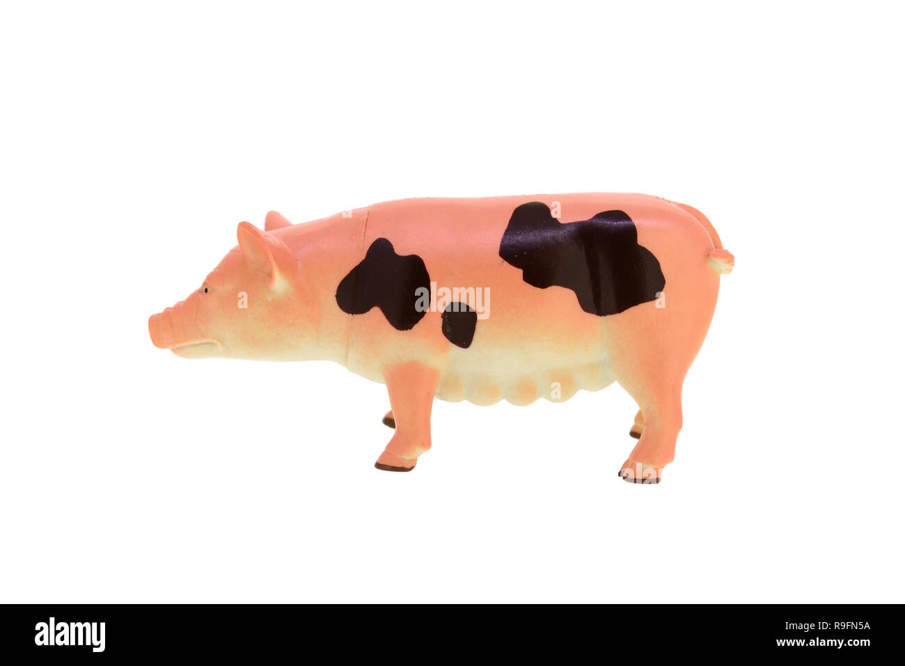 plastic toy pig isolated over white background Stock Photo - Alamy