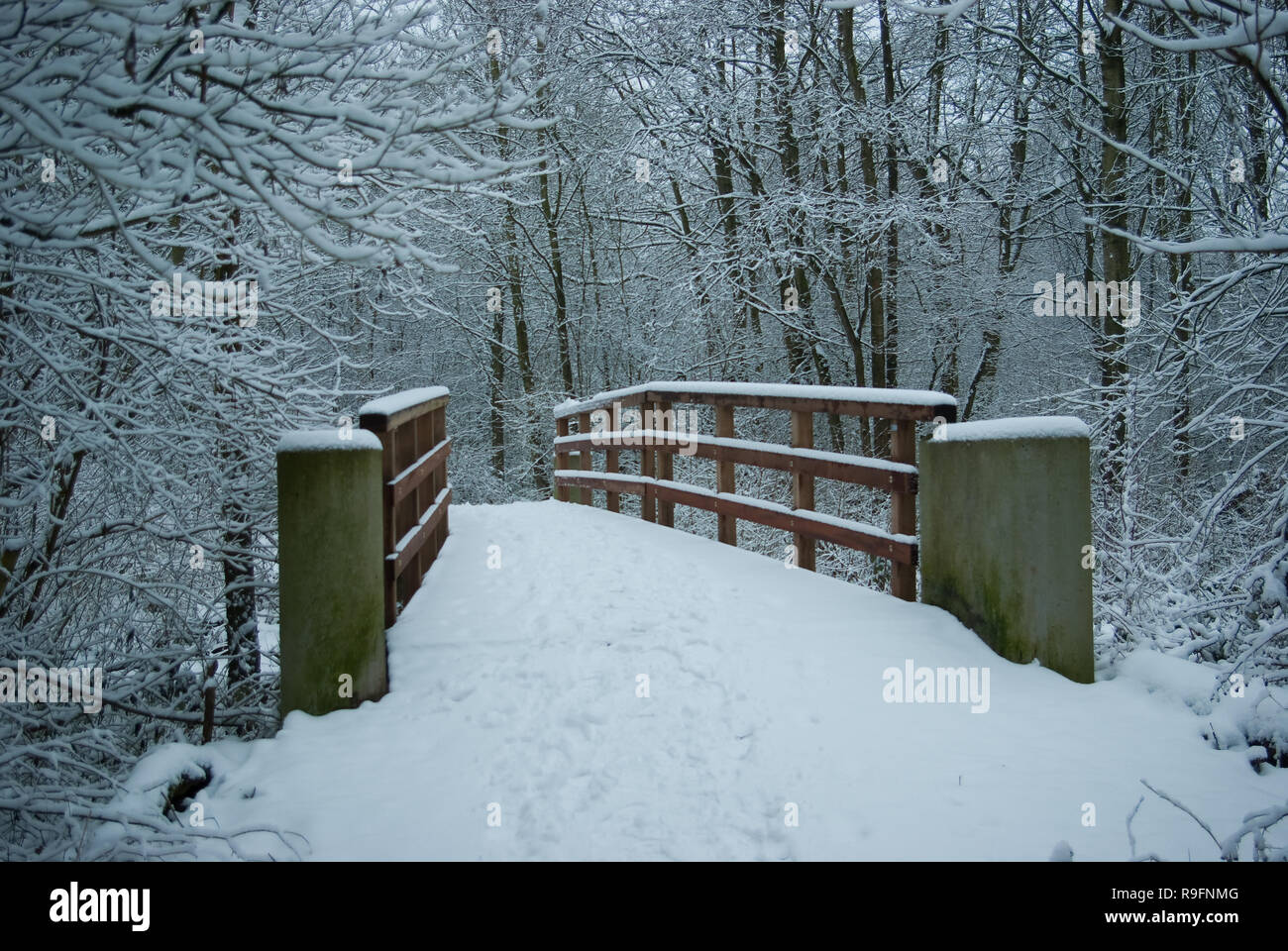 Red bridge on nature trail hi-res stock photography and images - Alamy
