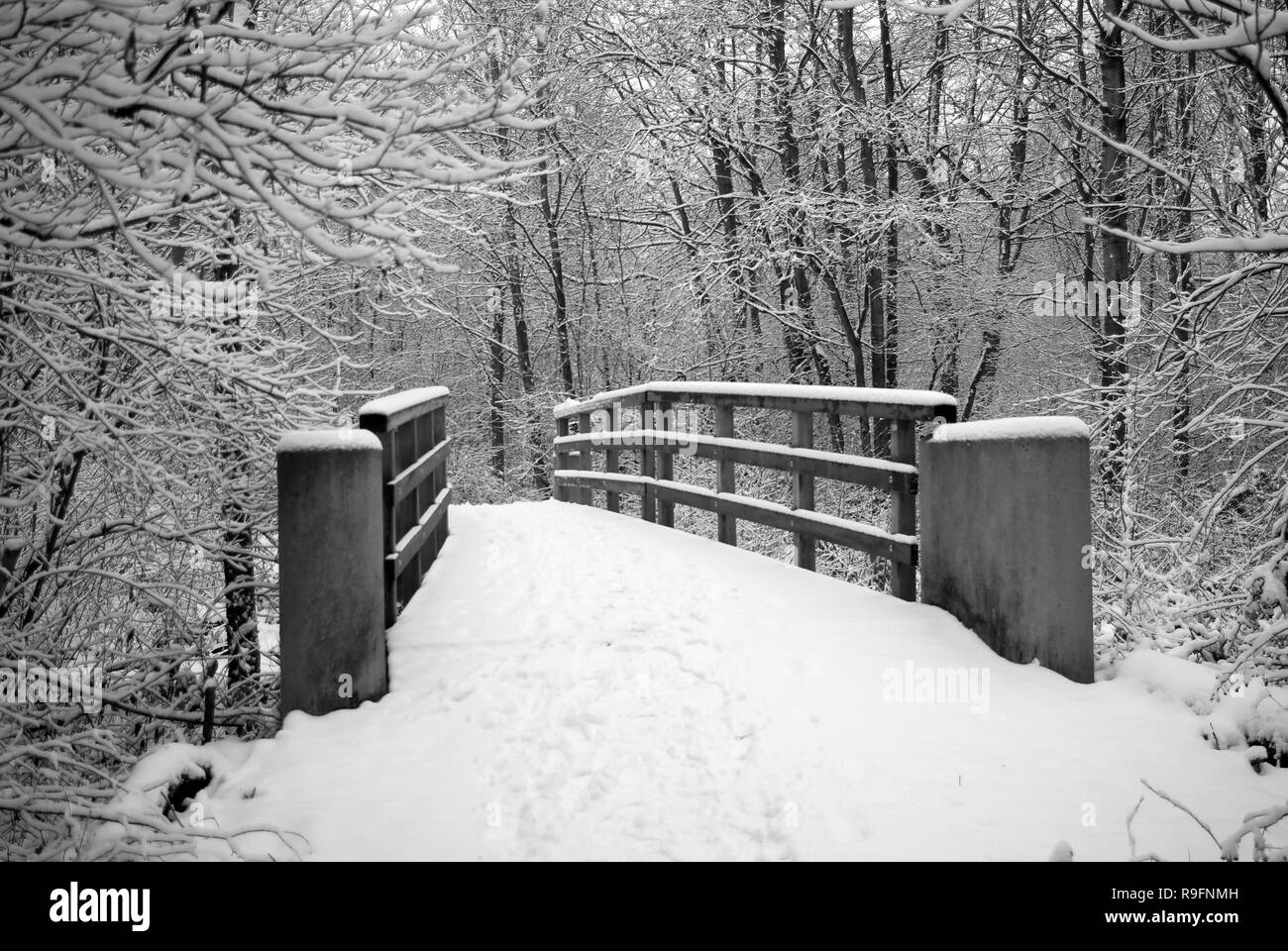 Footpath over a snow covered bridge with tight trees and bushes on both ...