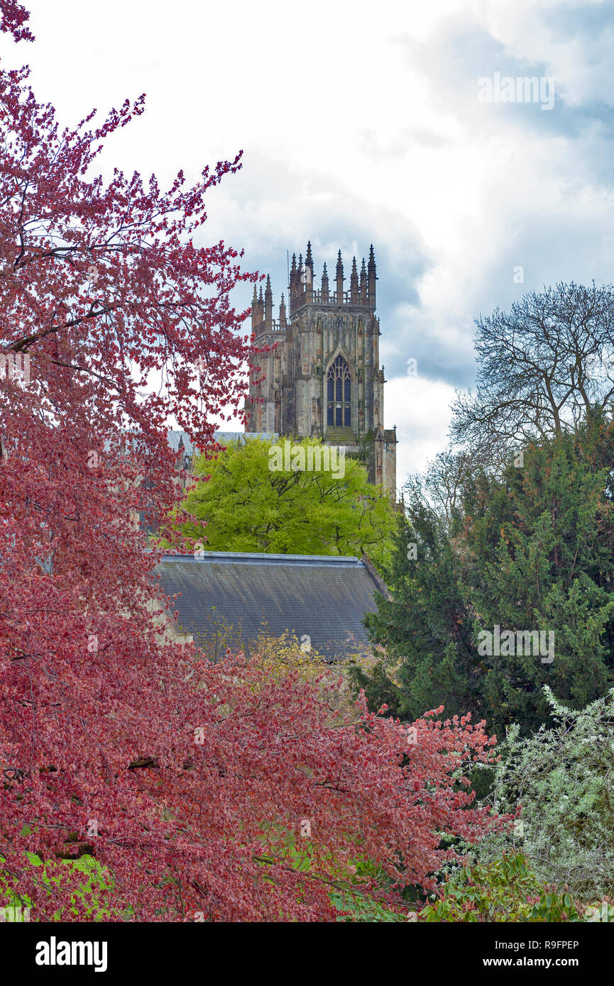 York Minster, historic cathedral built in English gothic style, and ...