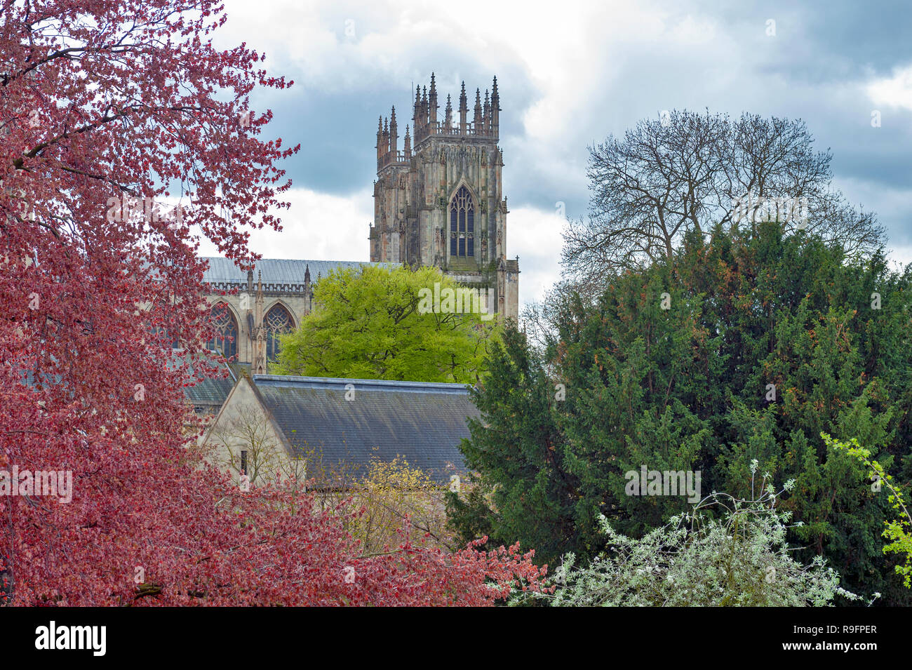 York Minster, historic cathedral built in English gothic style, and ...