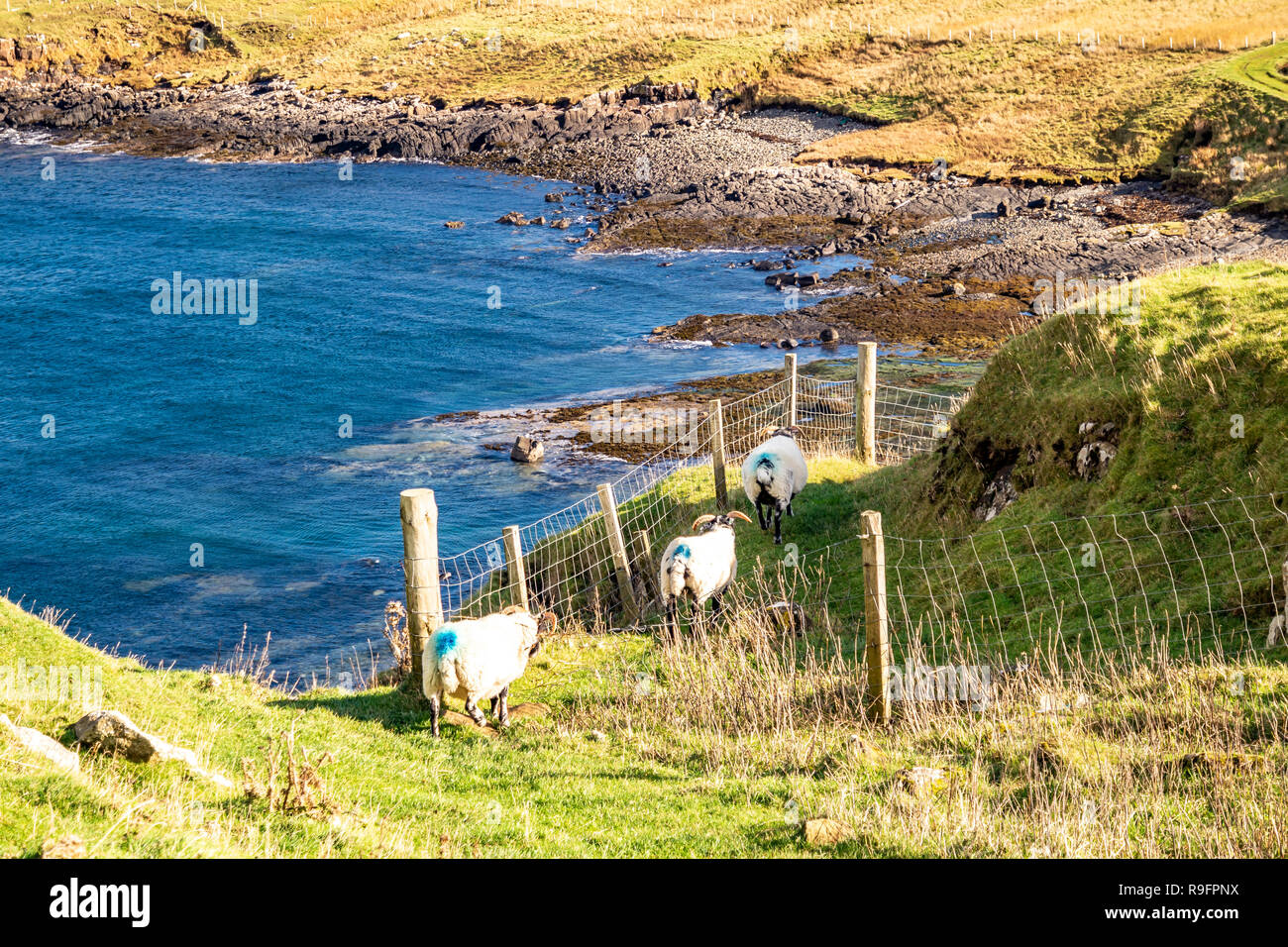 Isle Of Harris Castle High Resolution Stock Photography and Images - Alamy