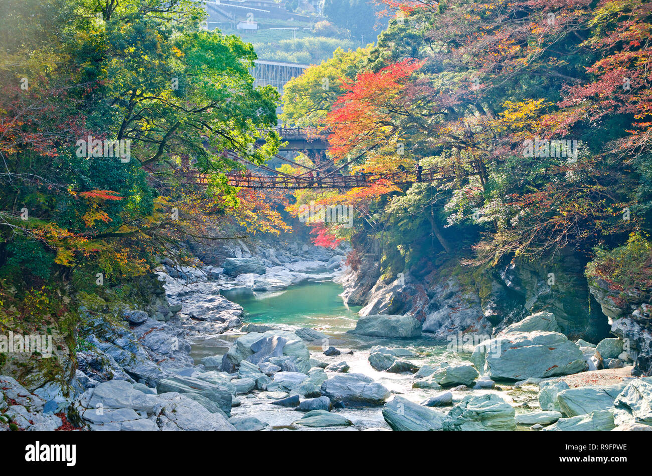 Kazurabashi vine bridge in Tokushima, Shikoku Stock Photo - Alamy