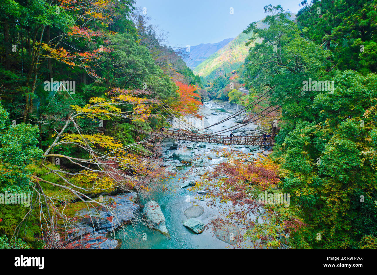 Kazurabashi vine bridge in Tokushima, Shikoku Stock Photo - Alamy