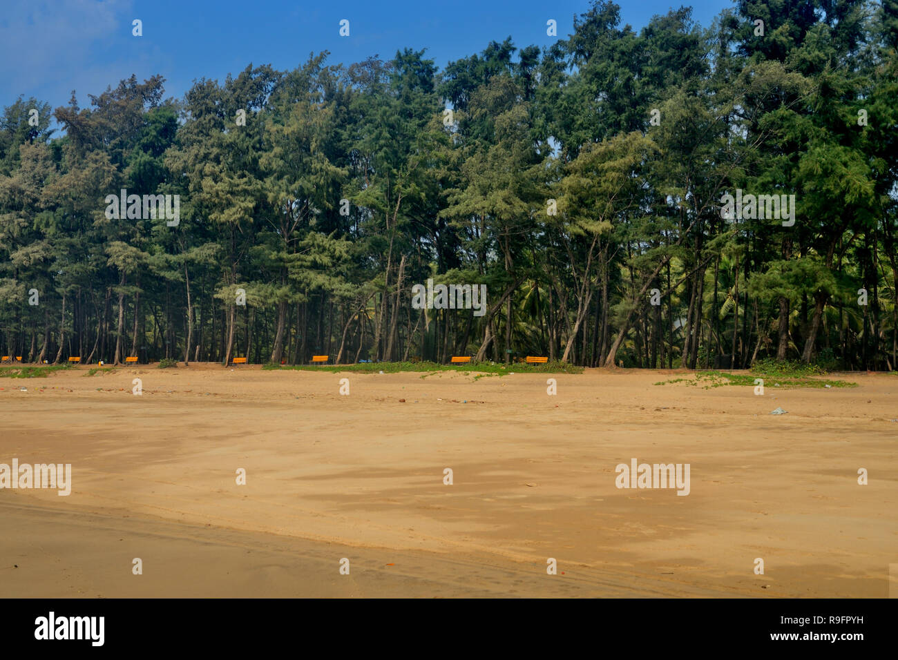 Beautiful seashore of Guhagar, Konkan, Maharashtra, India Stock Photo ...