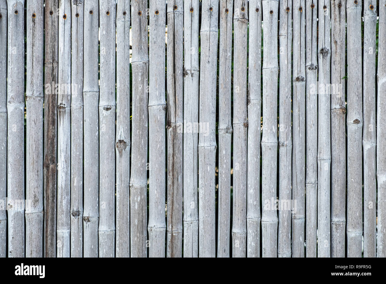 Bamboo fence wall background and texture, nature surface Stock Photo ...