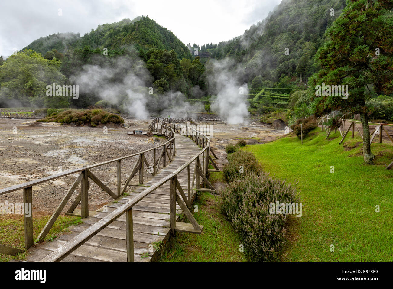 Thermal vents and a path for visitors to check them out at Fumarolas da ...