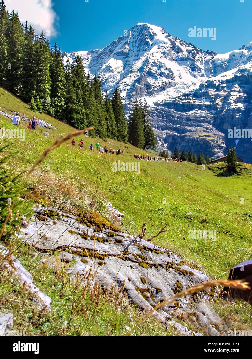 Marathon runners in the famous Jungfrau region - Switzerland Stock ...