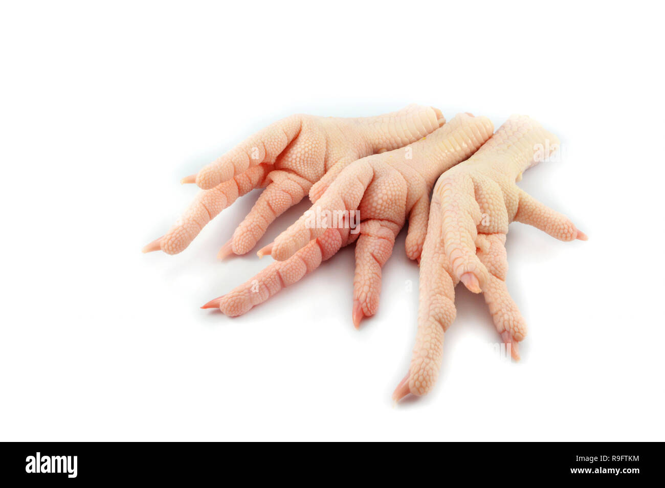 Chicken feet isolated on white background / Fresh Raw chicken feet or ...