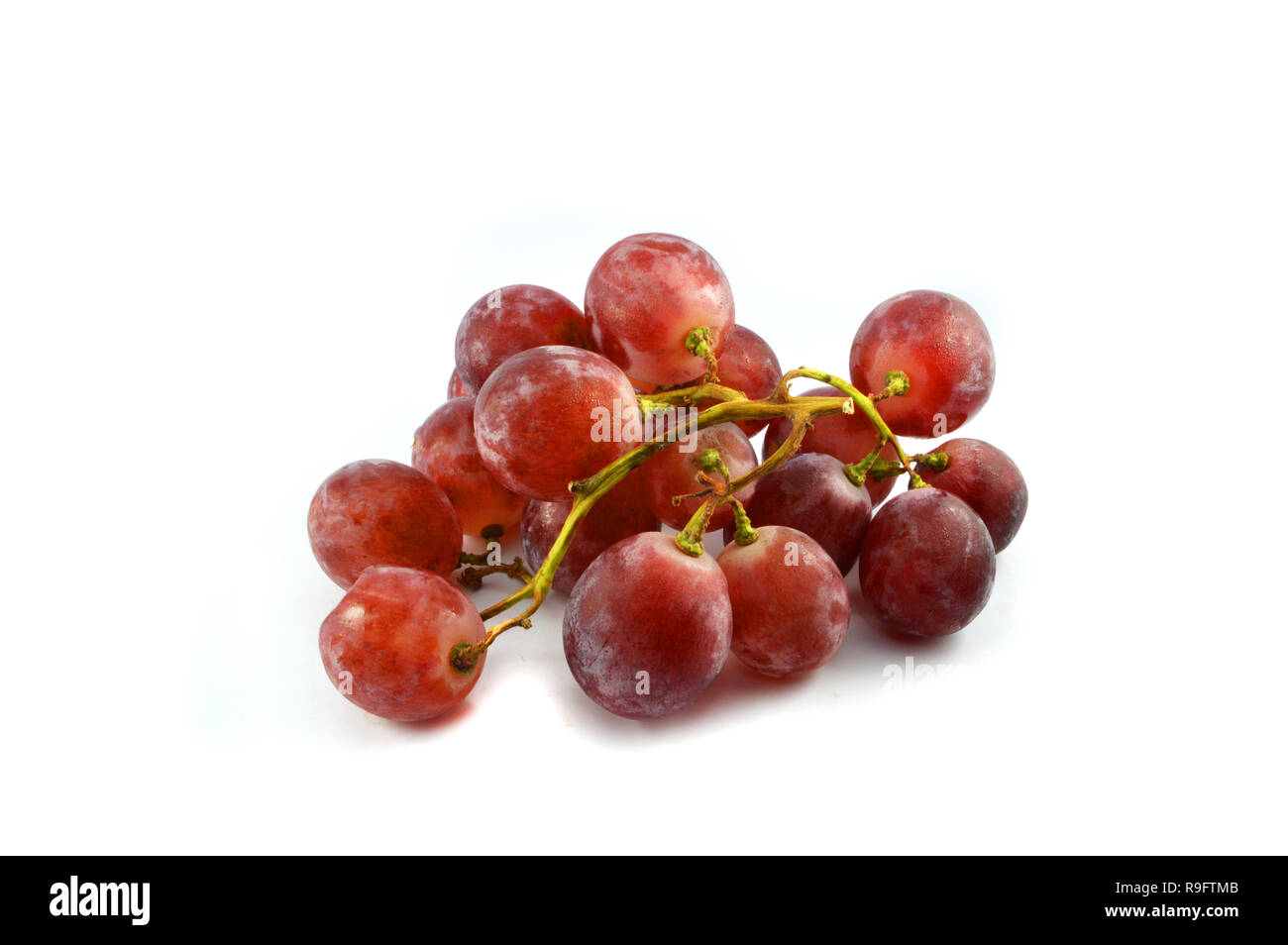 Red grapes out of the refrigerator / Withered begin grapes isolated on ...