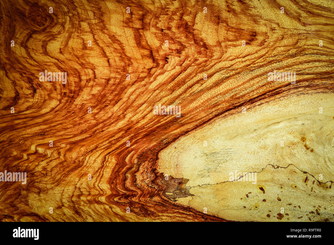 Wood structure texture background / beautiful wooden pattern abstract ...