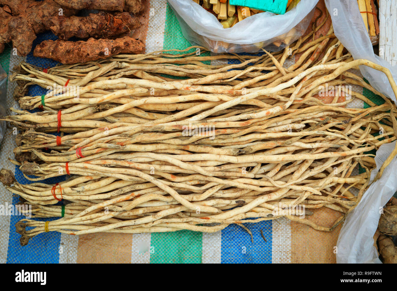 Herbal Medicines from nature root tree for sale from Laos Asia Stock ...