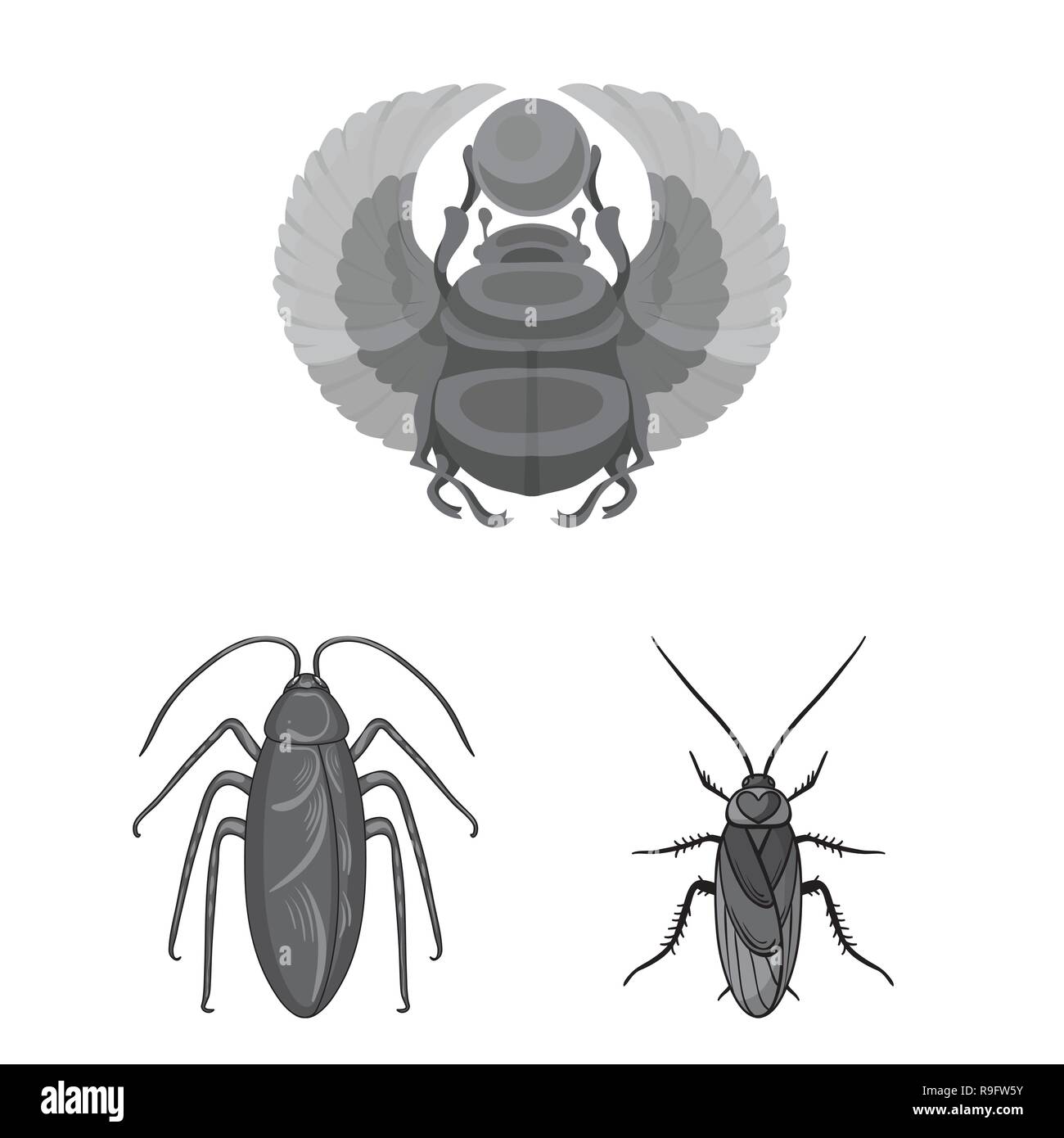 Vector design of insect and beetle sign. Collection of insect and ...