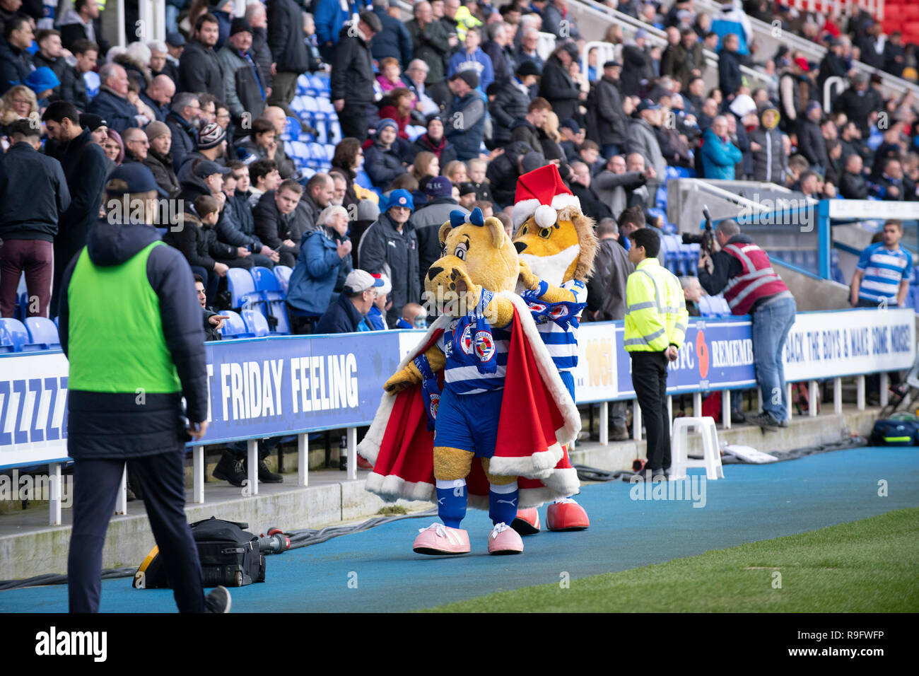Reading football club mascot hi-res stock photography and images - Alamy