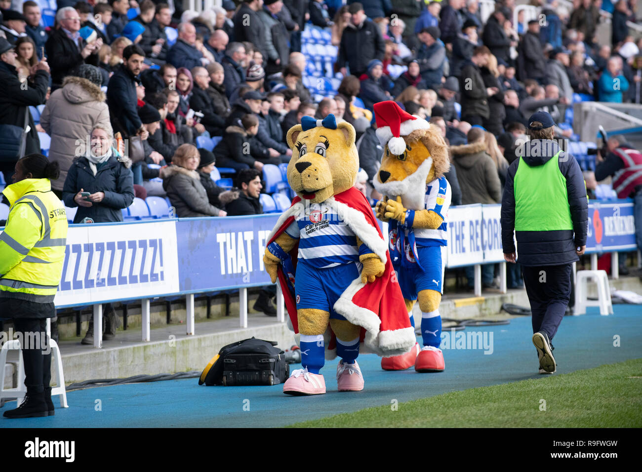 Reading football club mascot hi-res stock photography and images - Alamy