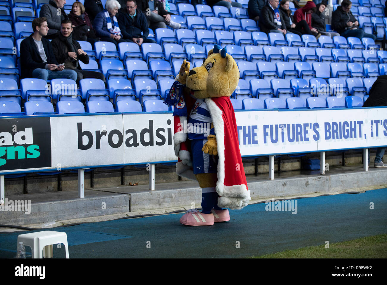Reading football club mascot hi-res stock photography and images - Alamy