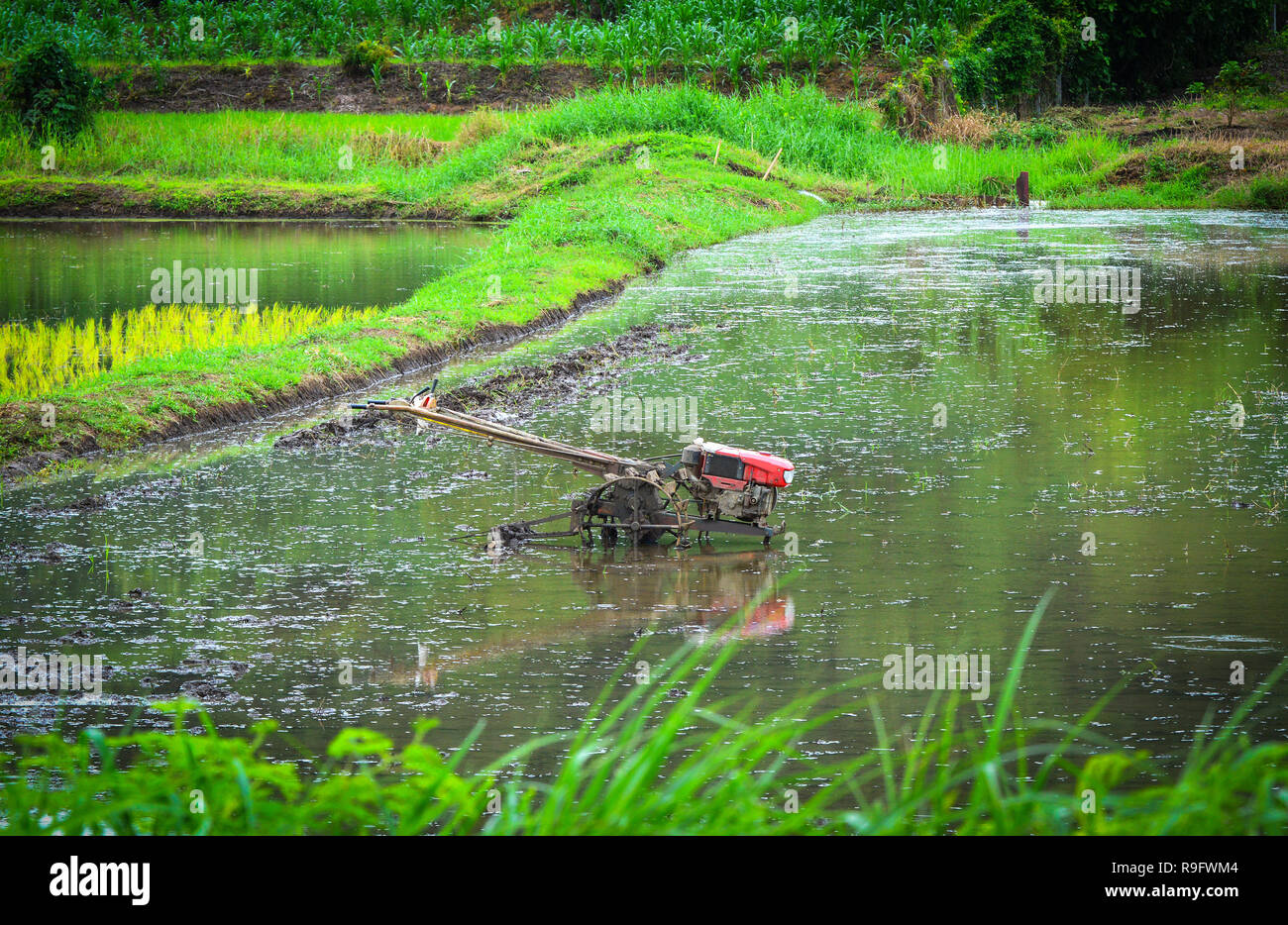 Walking Tractor on rice field for work plow - Plows machine small ...