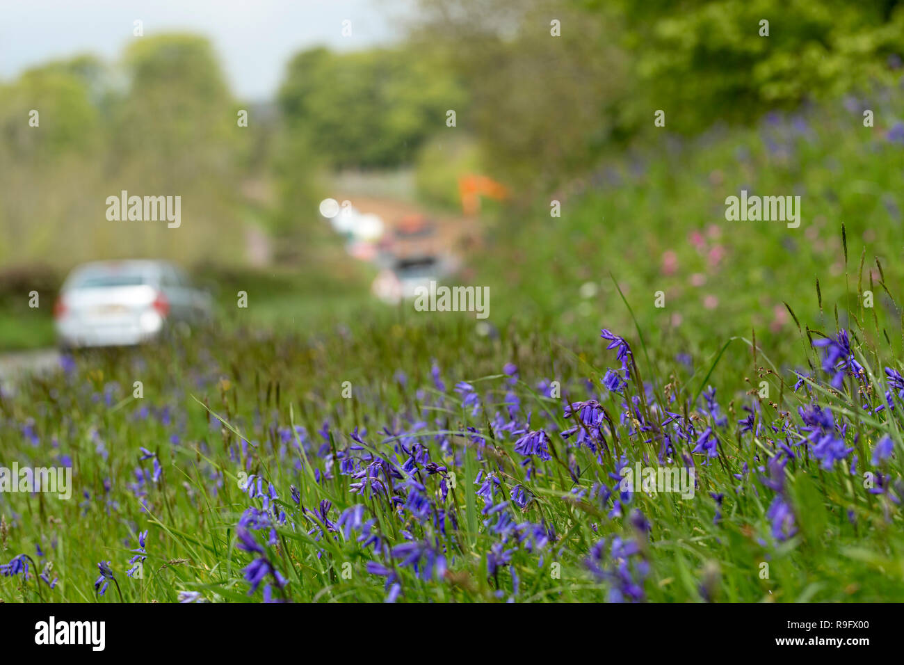 Road Verge Uk Stock Photos & Road Verge Uk Stock Images - Alamy