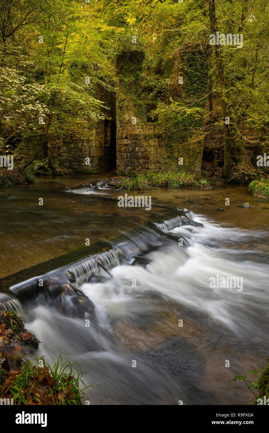 Kennall Vale; River; Cornwall; UK Stock Photo - Alamy