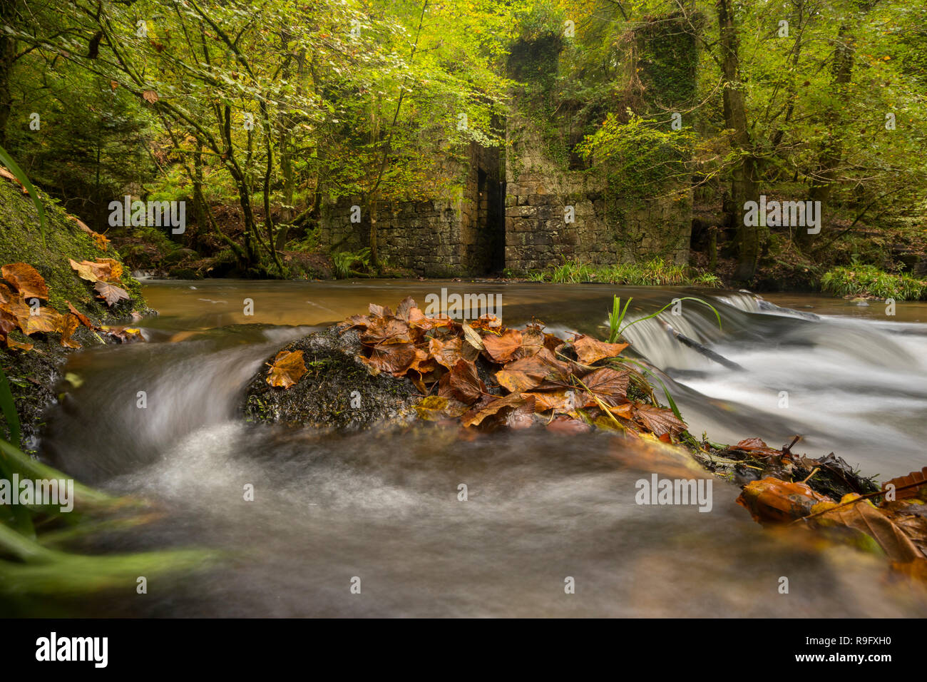 Vale river hi-res stock photography and images - Alamy