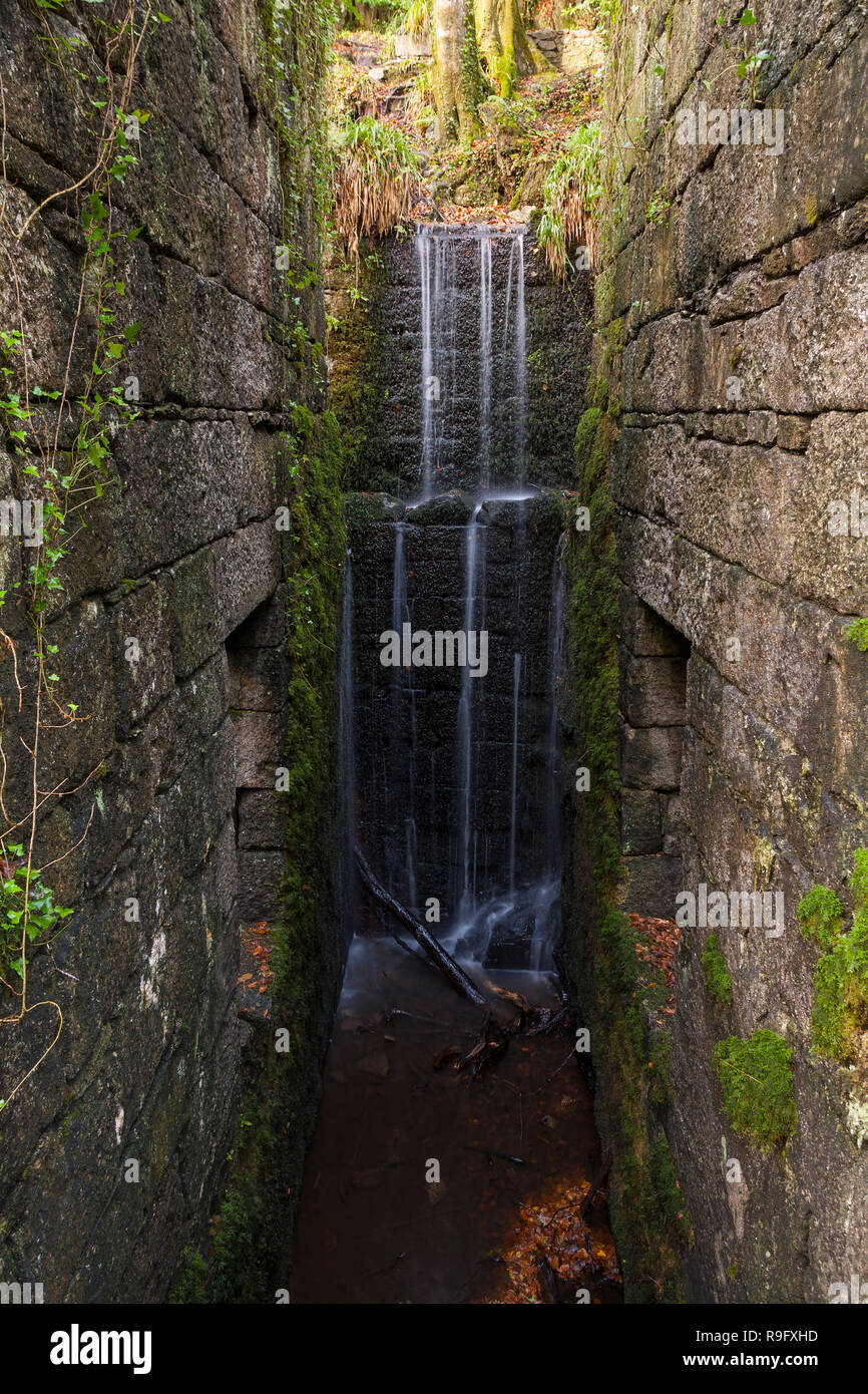 Kennall vale nature reserve hi-res stock photography and images - Alamy