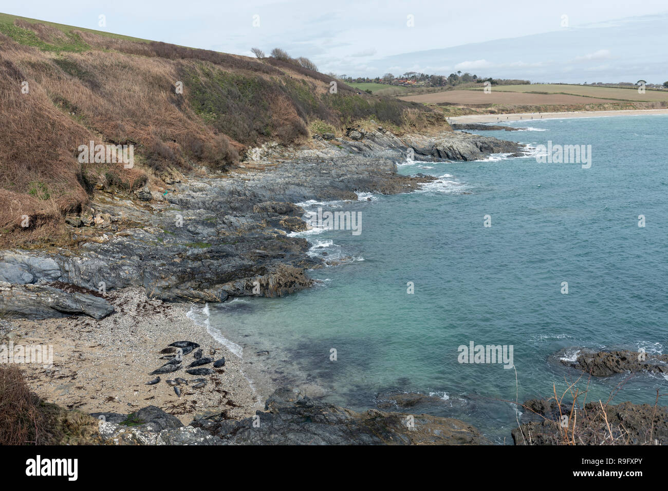 Veryan cornwall uk hi-res stock photography and images - Alamy